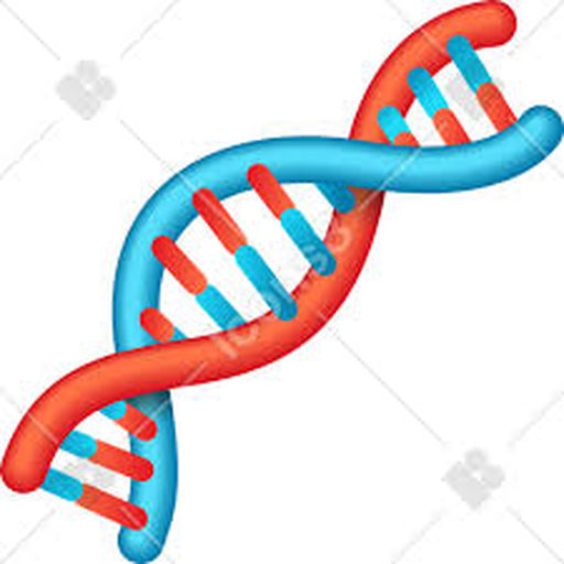 Projects | Brandy Corwin